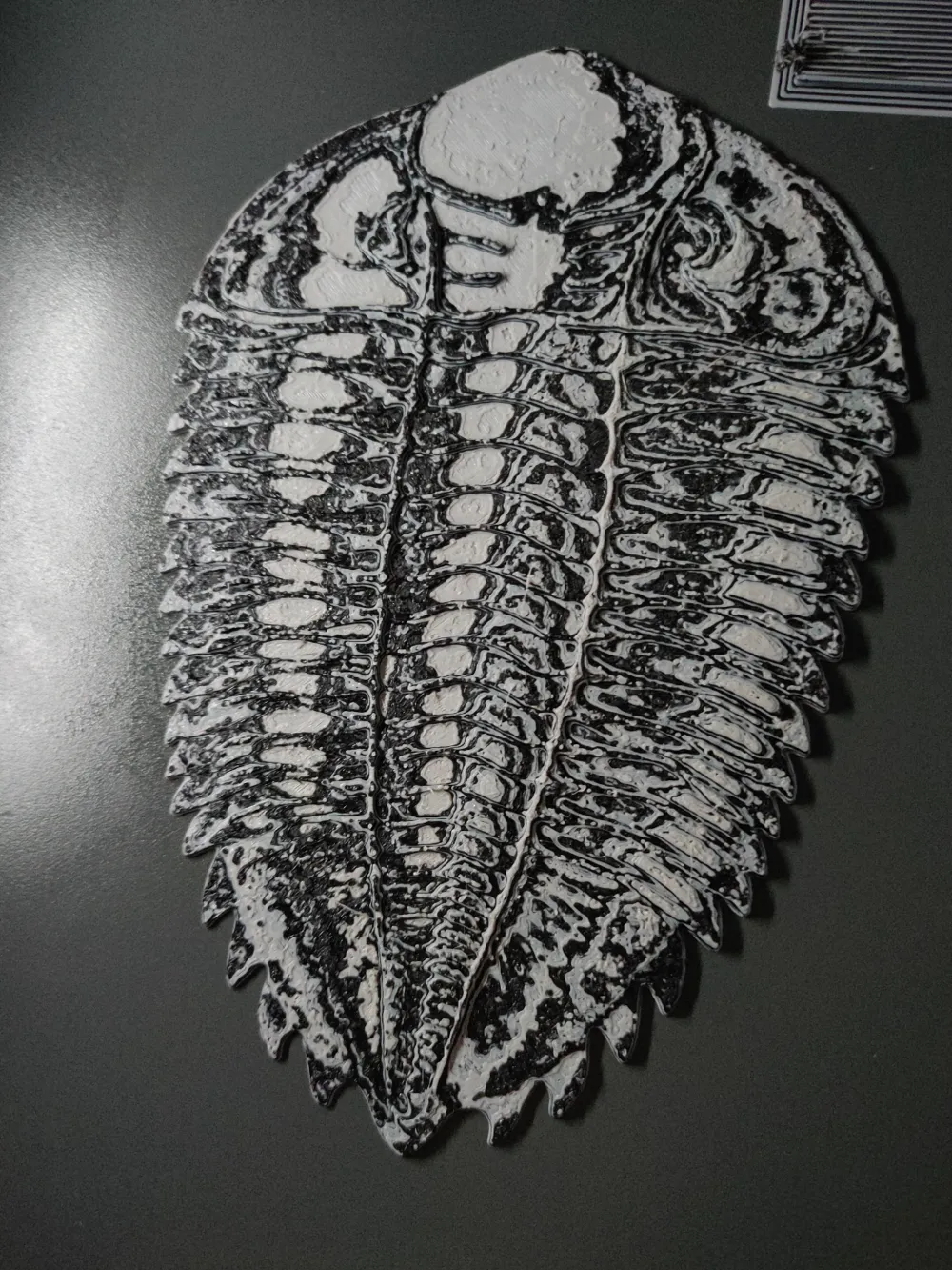 Trilobite Wall Art (AMS) by Zetta Art - MakerWorld