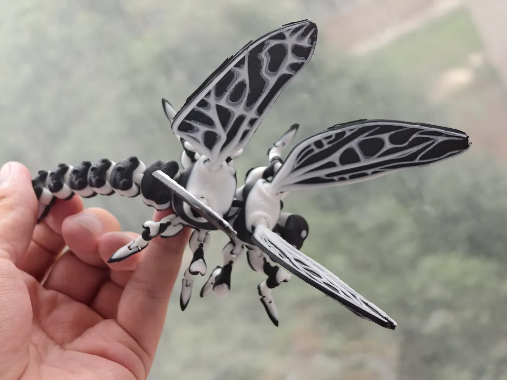 Dragonfly, fully articulated, no supports needed, direct print from ...