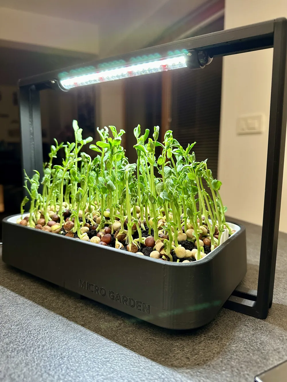 DIY Micro Garden – Indoor Microgreens Grow System - Free 3D Print Model ...