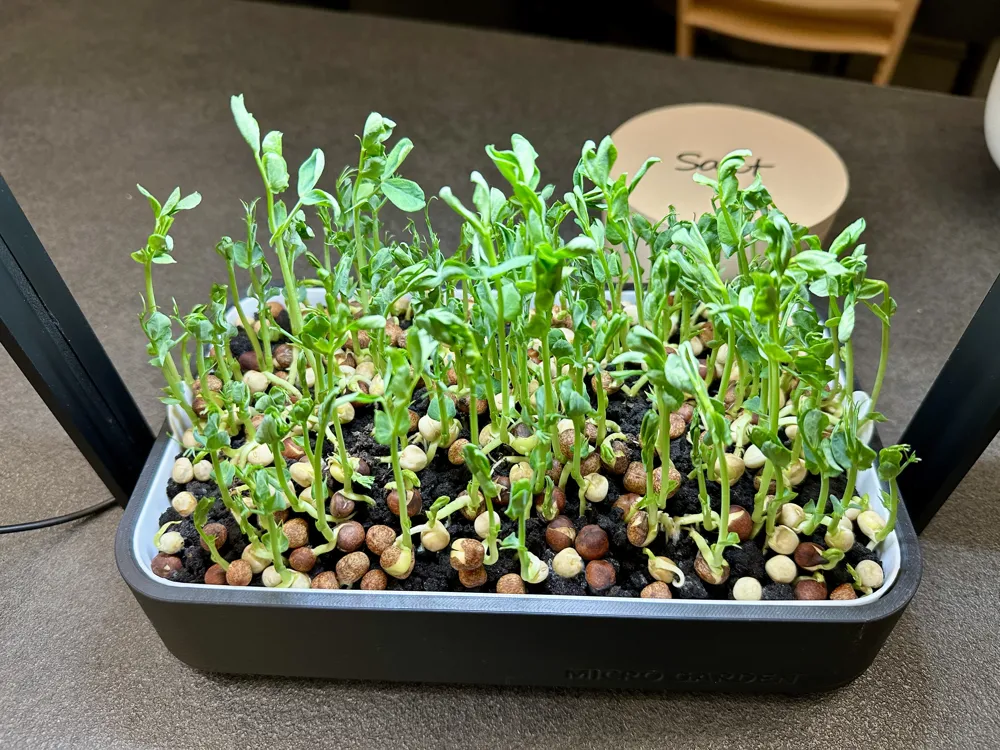 DIY Micro Garden – Indoor Microgreens Grow System - Free 3D Print Model ...