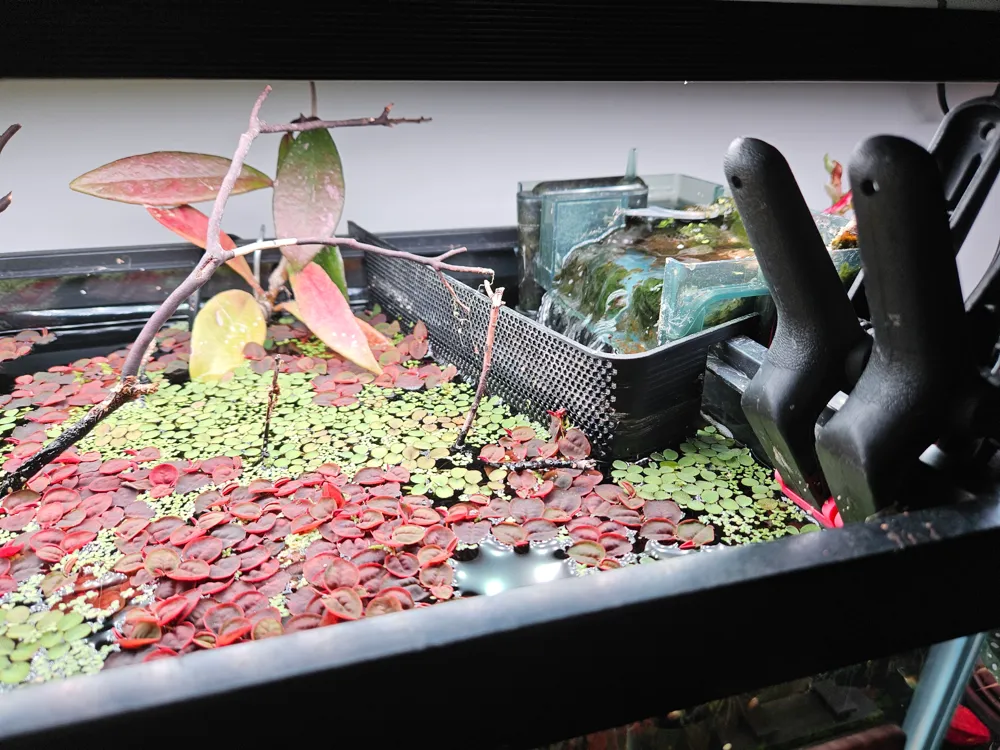 Fish Tank Mesh Floater Blocker by FullNameHere MakerWorld: Download ...