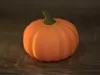 Pumkin Decor by Yobtnirp MakerWorld: Download Free 3D Models