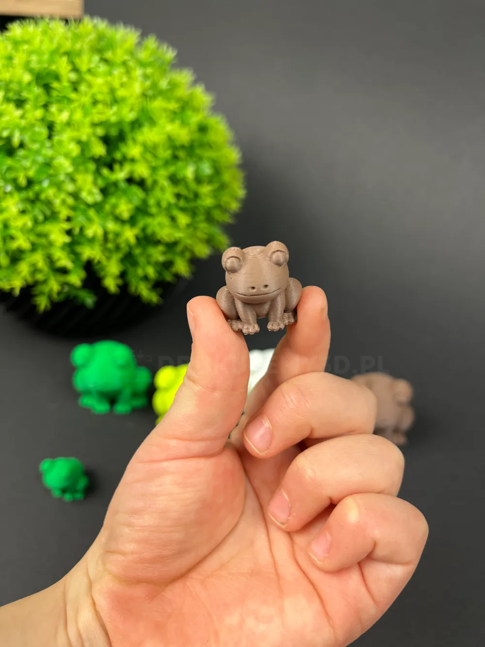 Tiny Frog by Drukujemy3D.pl MakerWorld: Download Free 3D Models