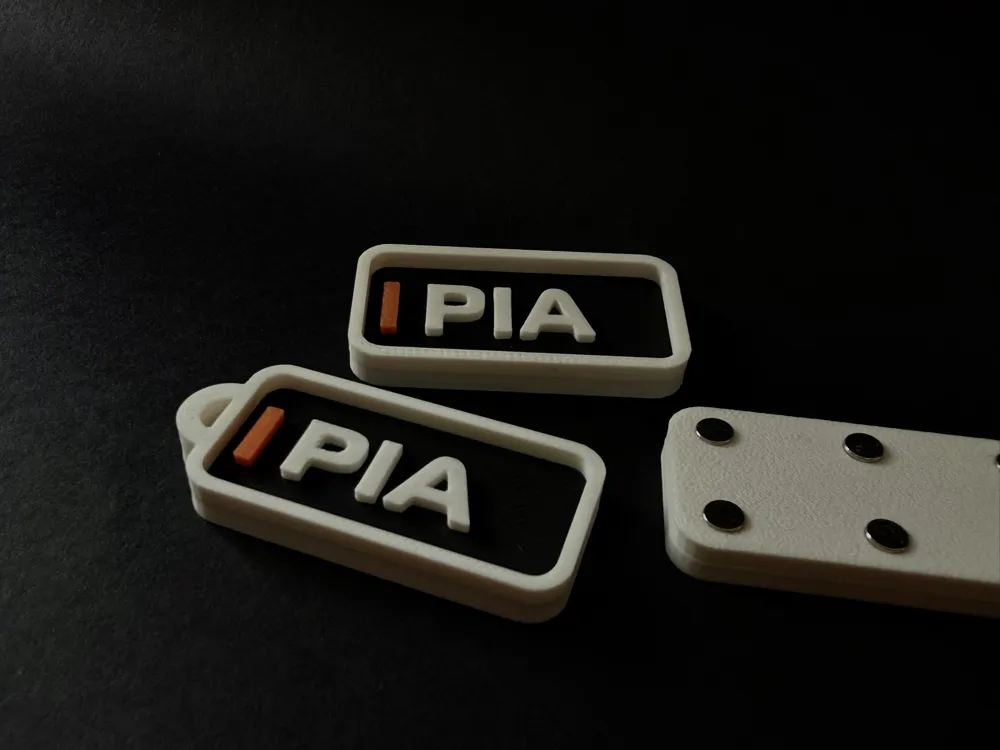 F1 Oscar Piastri name tag magnet and keychain by ketchup_pudliszki_3D ...