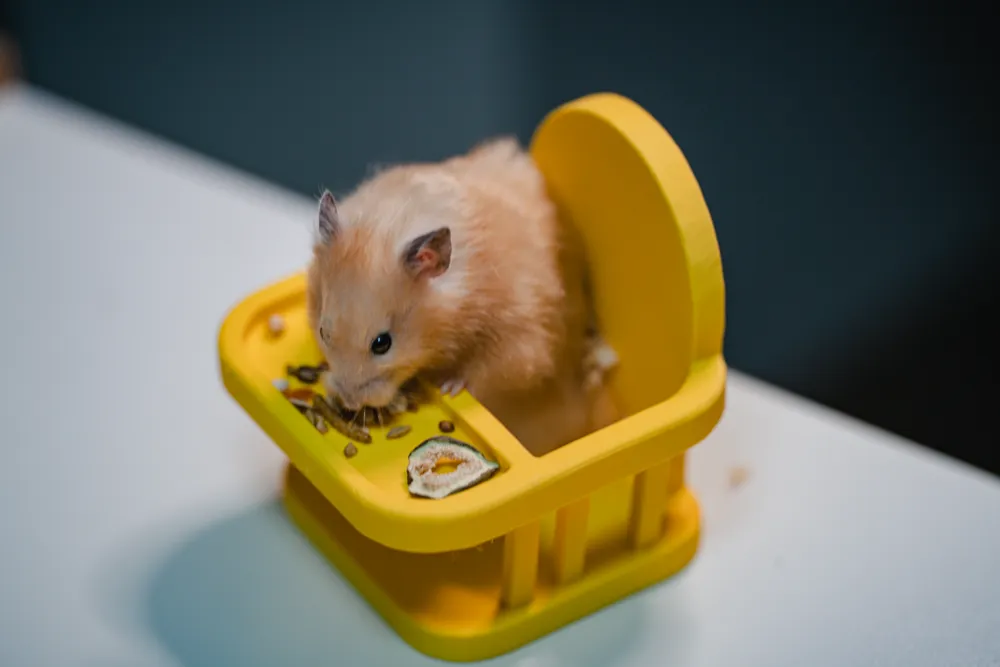 Hamster Baby Chair by AtamiSquare - MakerWorld