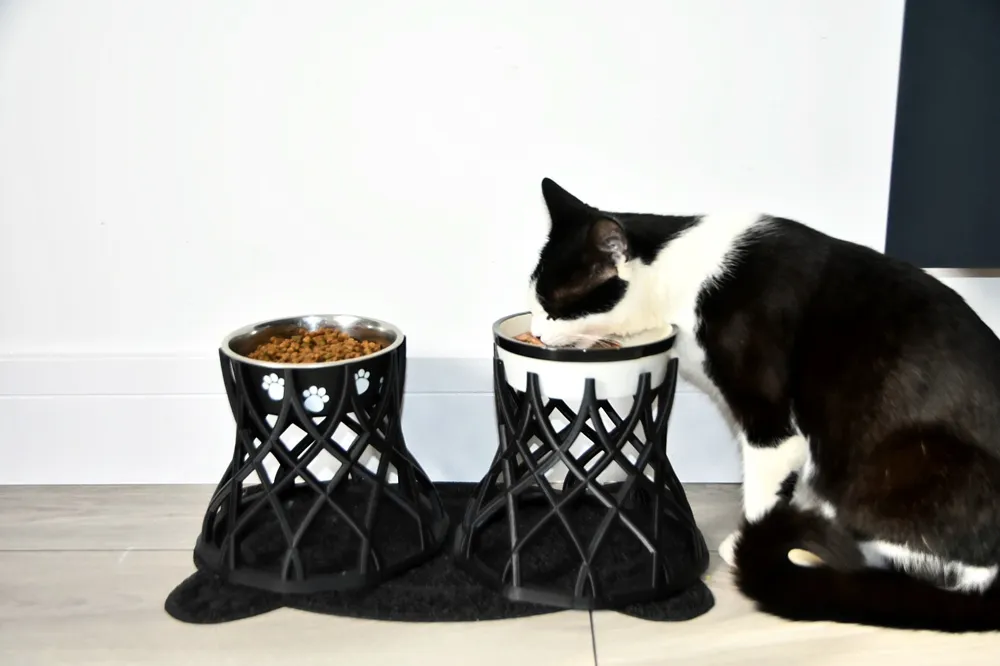 Elevated Pet Bowl Riser by Lilith3dPrint MakerWorld: Download Free 3D ...
