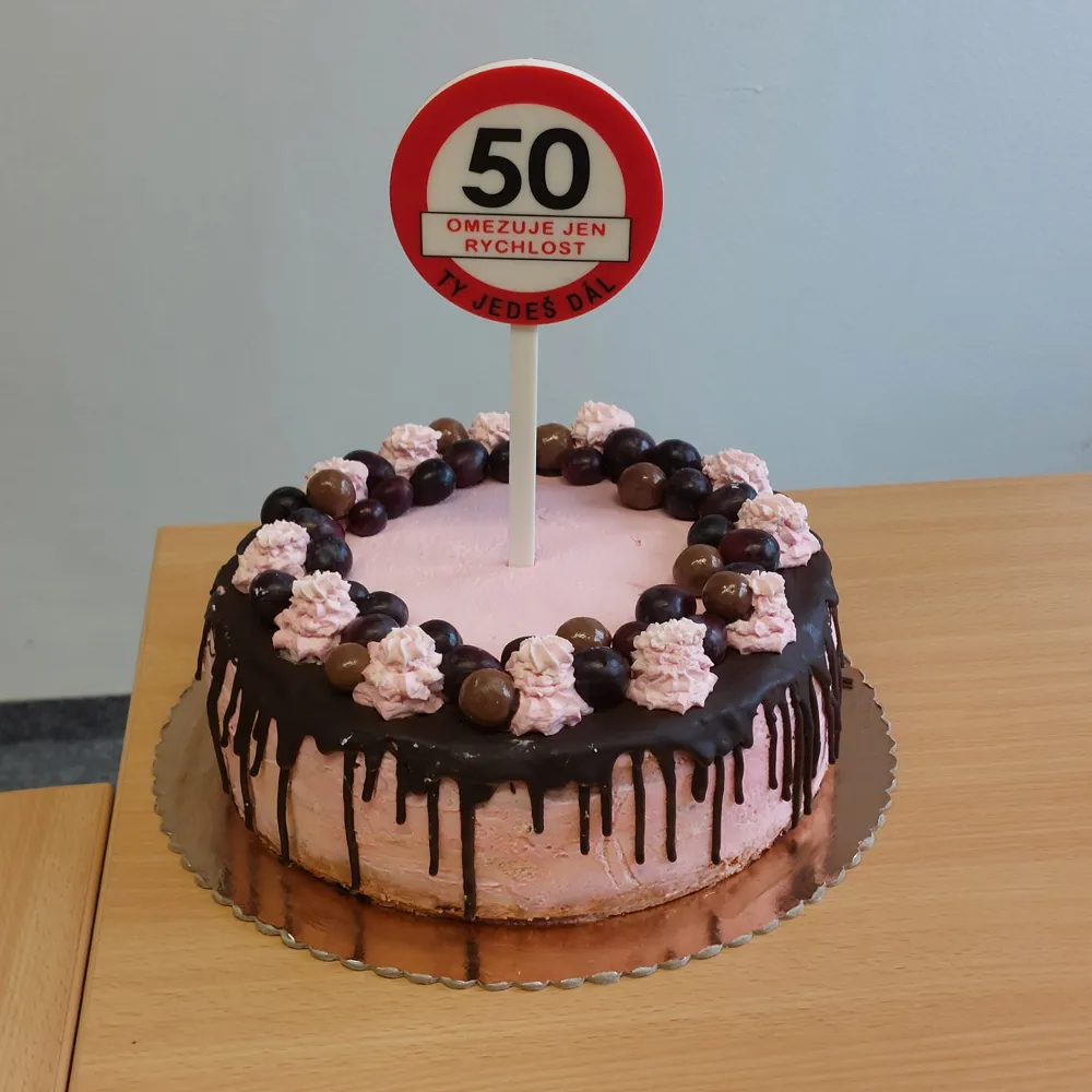 50 let s tyčkou do dortu nebo květináče Remixed by PedroKV - MakerWorld