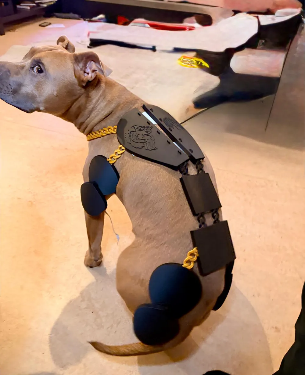 Canine Vanguard Mk.I - Chico - Free 3D Print Model - MakerWorld
