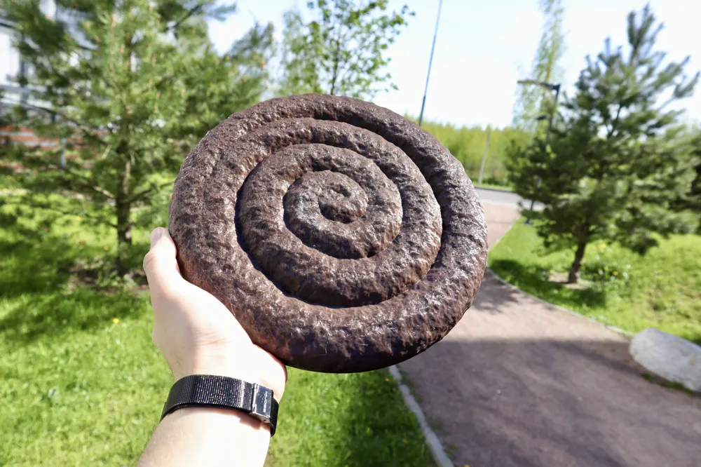 Frisbee poop by EvgTru MakerWorld: Download Free 3D Models