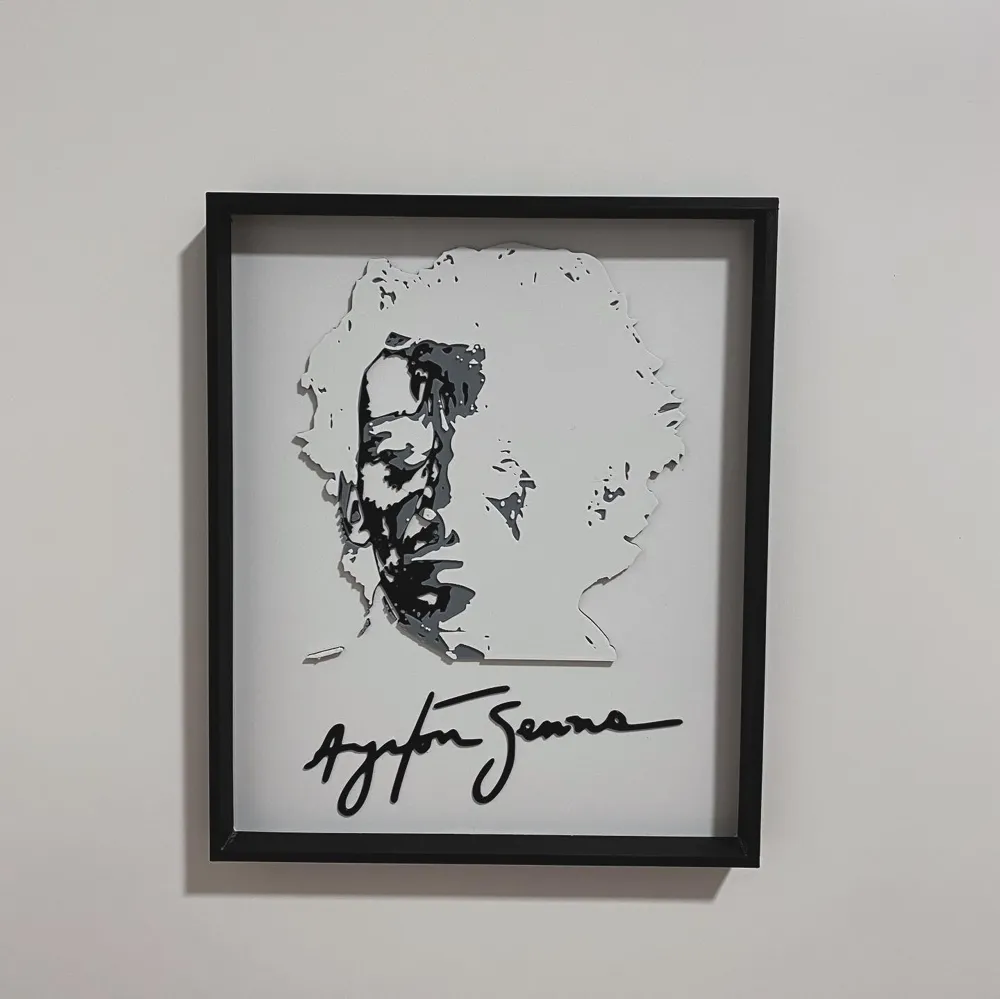Ayrton Senna Picture Frame by brunompires MakerWorld: Download Free 3D ...