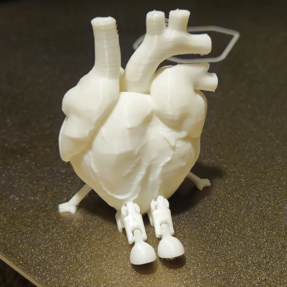 Articulated Realistic Heart For Valentines Day by thekernoodler ...
