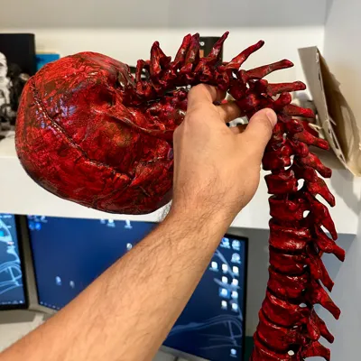 Ripped skull and spine for cosplay human-real size by ShQ@r.Ok ...