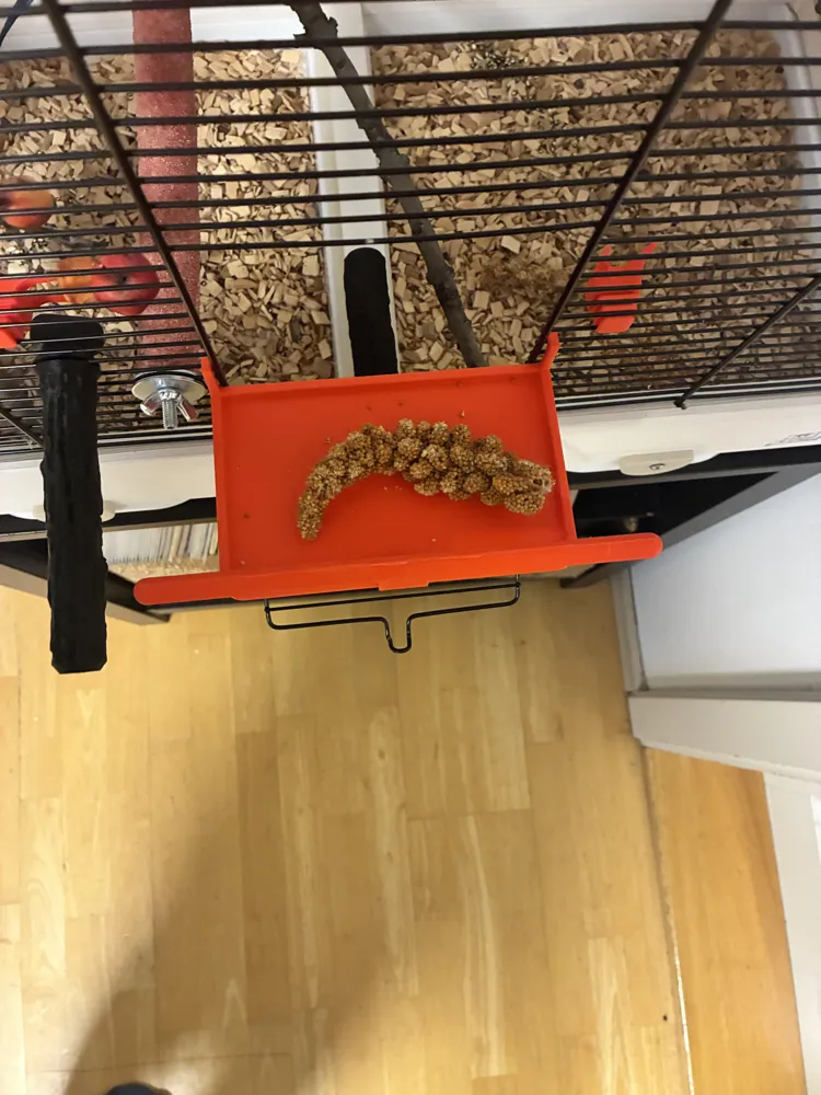 Bird cage platform - Free 3D Print Model - MakerWorld