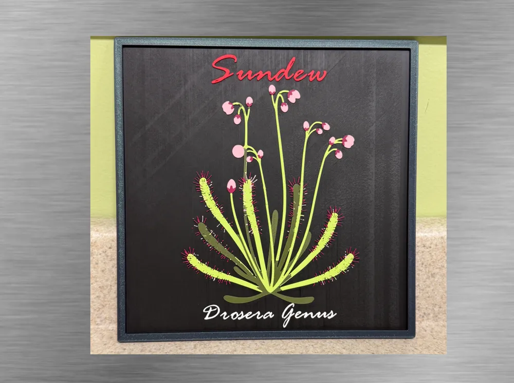 Planta Carnívora - Orvalhinha Arte de Parede 200x200 - Modelo gratuito ...