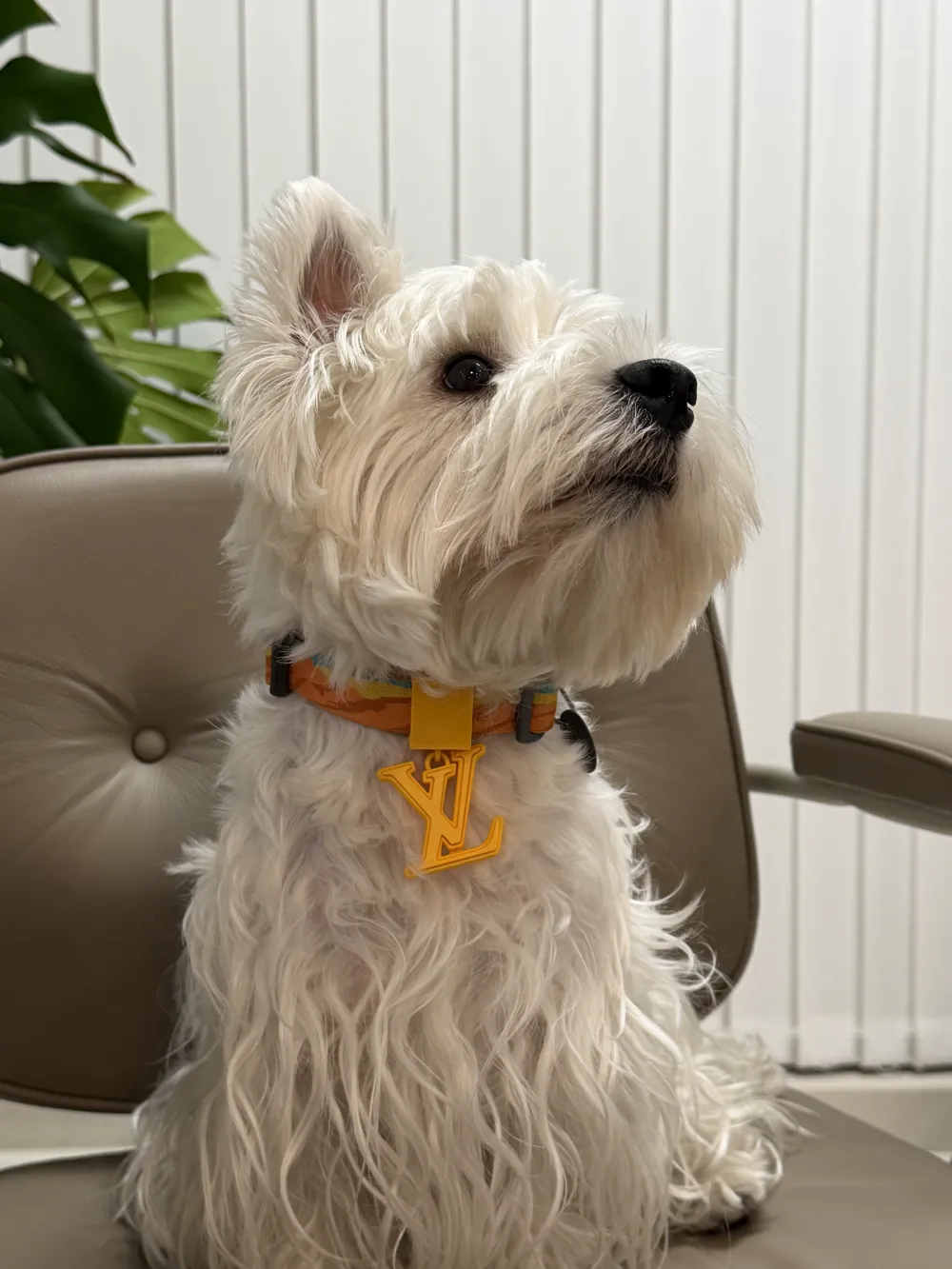 LV Pet Collar Tag - LV Large Logo - Free 3D Print Model - MakerWorld