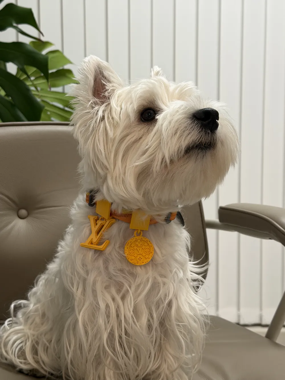 LV Pet Collar Tag - LV Large Logo - Free 3D Print Model - MakerWorld