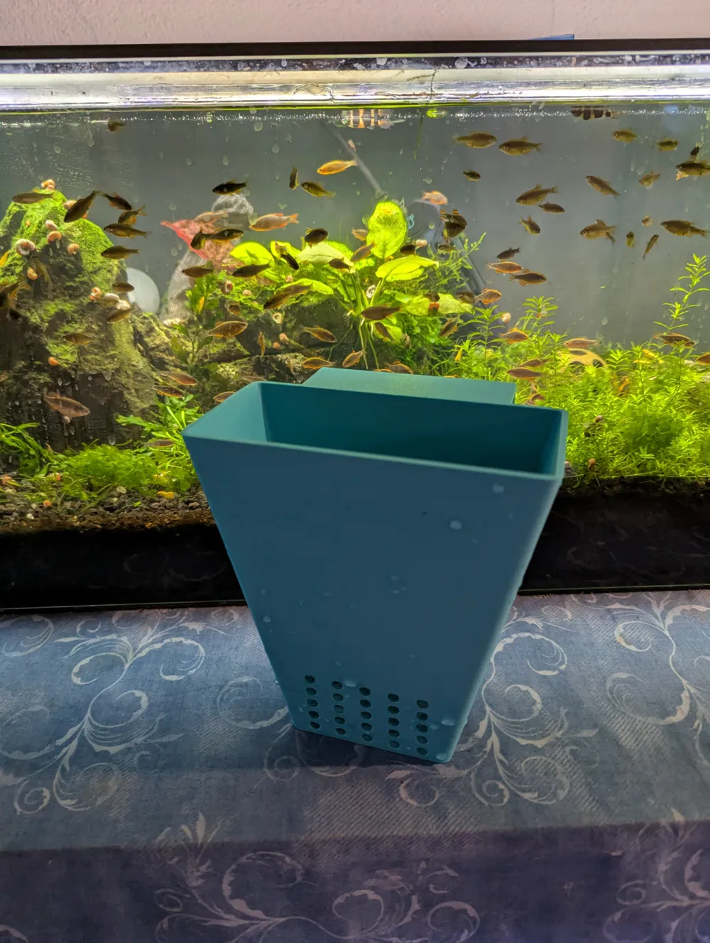 Aquarium Water Diffuser by HerdyGerdy MakerWorld: Download Free 3D Models