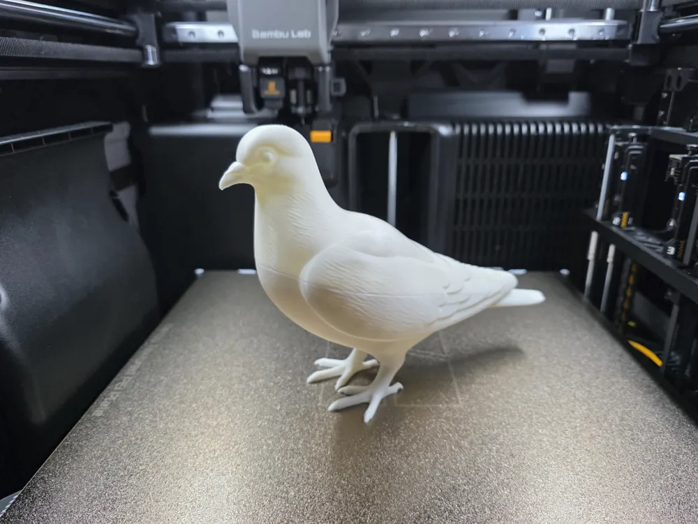 Pigeon / Dove - Highly Detailed Split Model - Free 3D Print Model ...