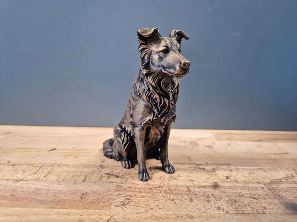 Border Collie by Mr.Jay MakerWorld: Download Free 3D Models