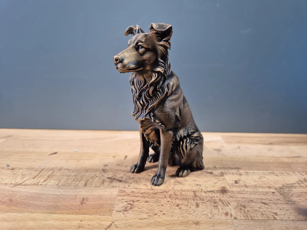 Border Collie by Mr.Jay MakerWorld: Download Free 3D Models