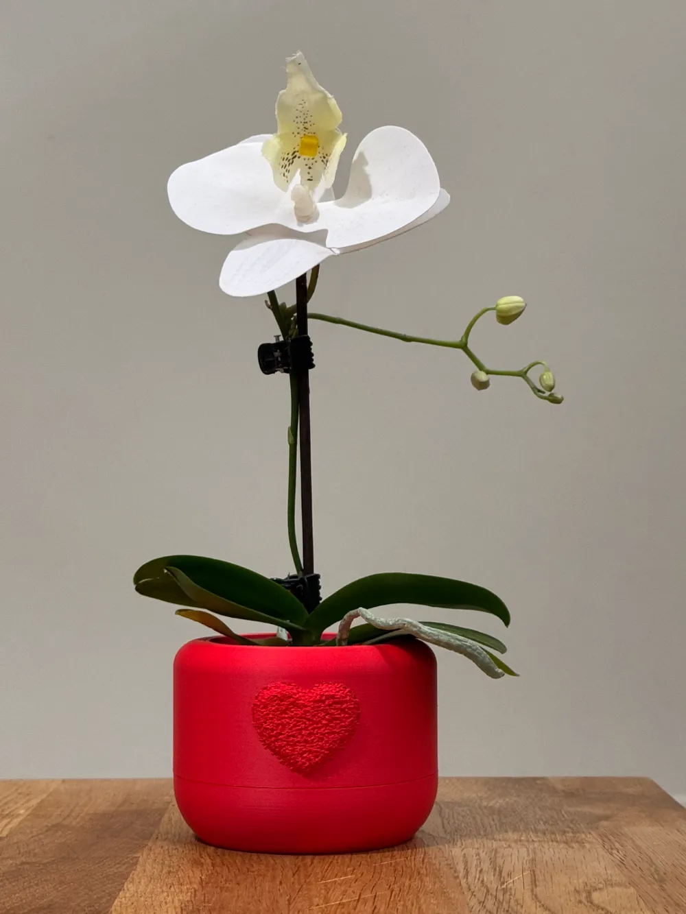 ModuLove Pot – Modular Plant Pot System by Apumia MakerWorld: Download ...