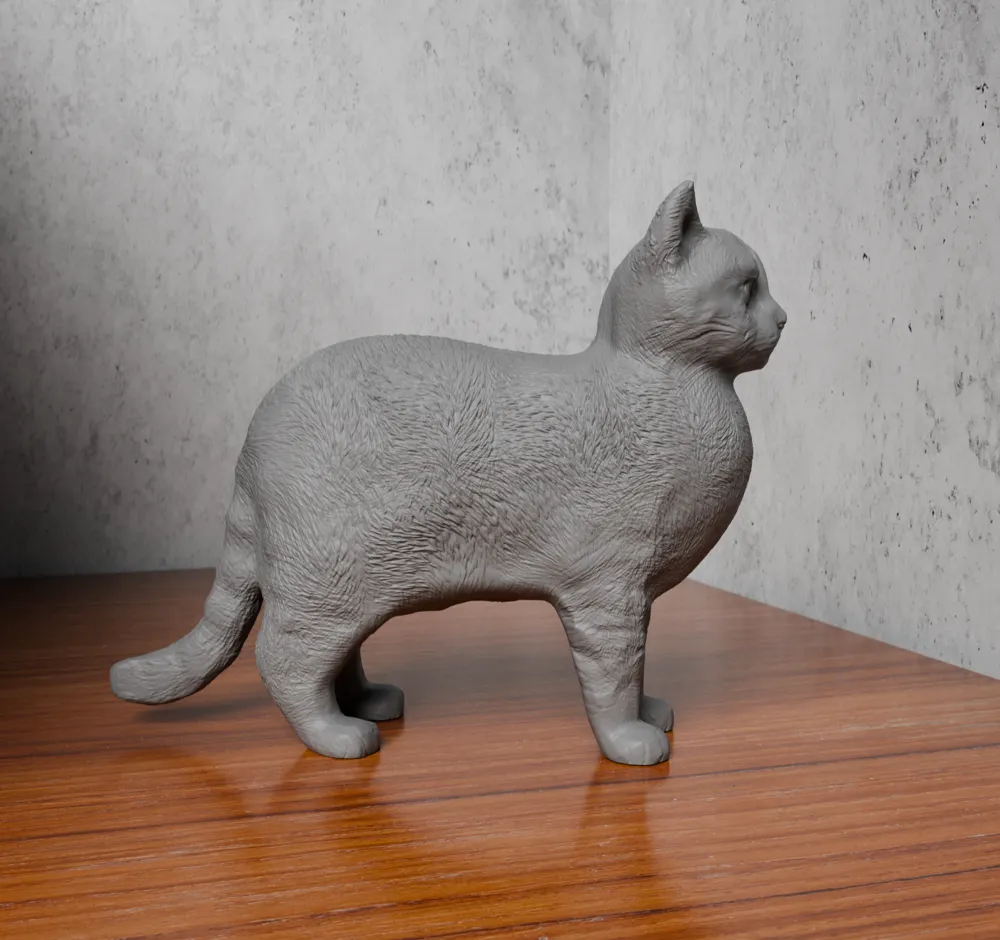 Standing cat (high detail) by Budahazi_DesignMakerWorld: Download Free ...