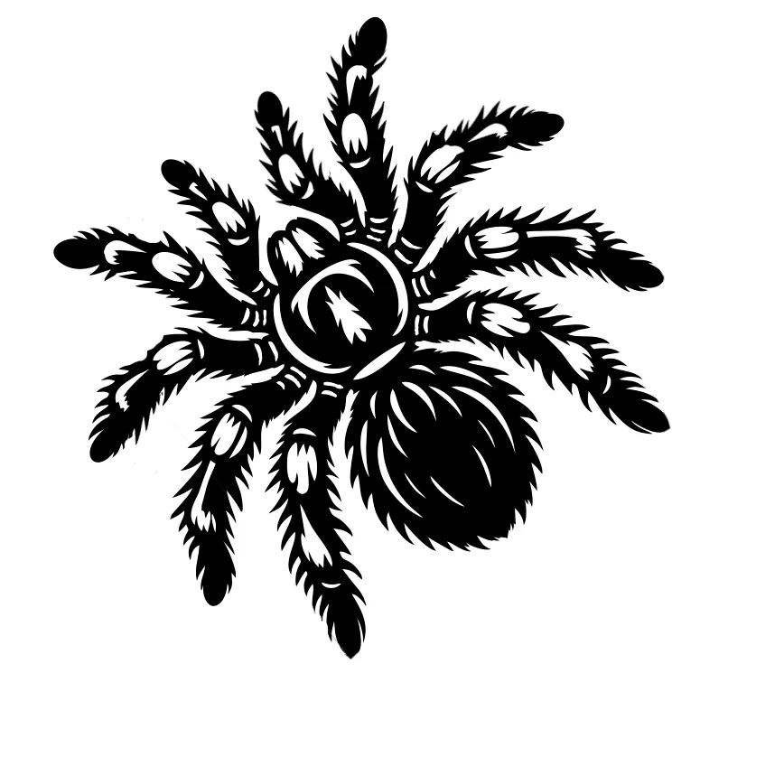 Spider Tarantula Halloween 2d wall art home decor by TheWallArtGuy ...