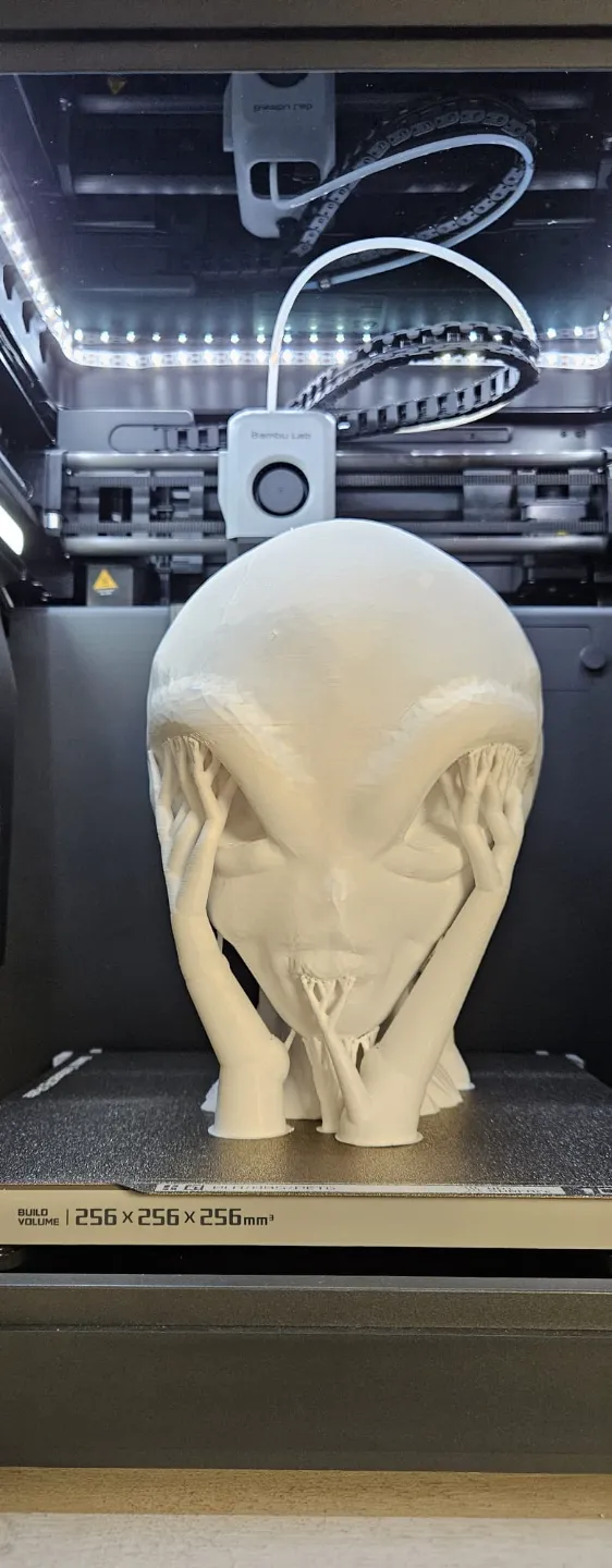 Alien Head - Free 3D Print Model - MakerWorld
