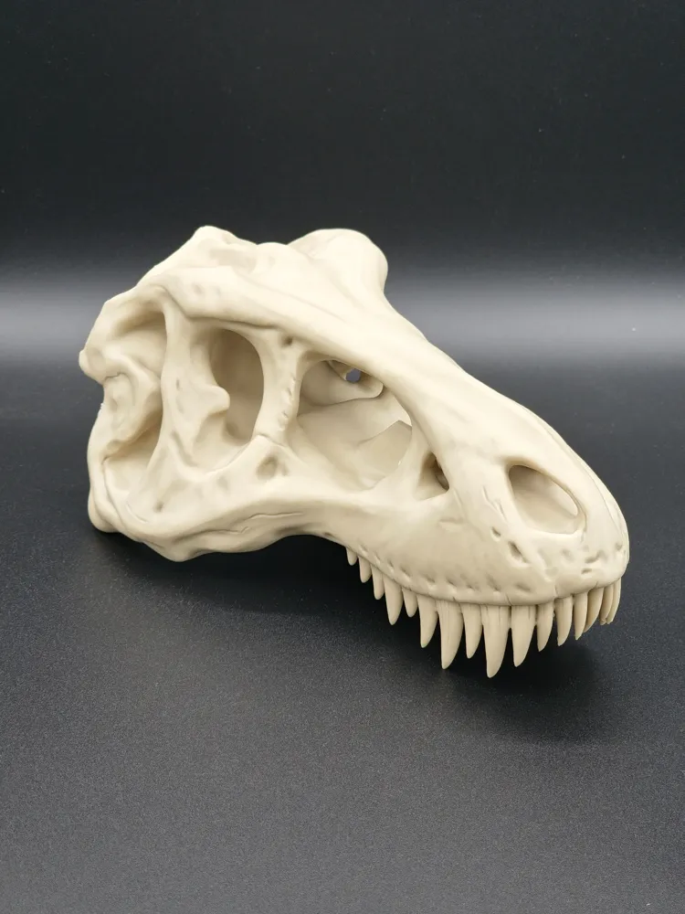 T-Rex Skull - Free 3D Print Model - MakerWorld