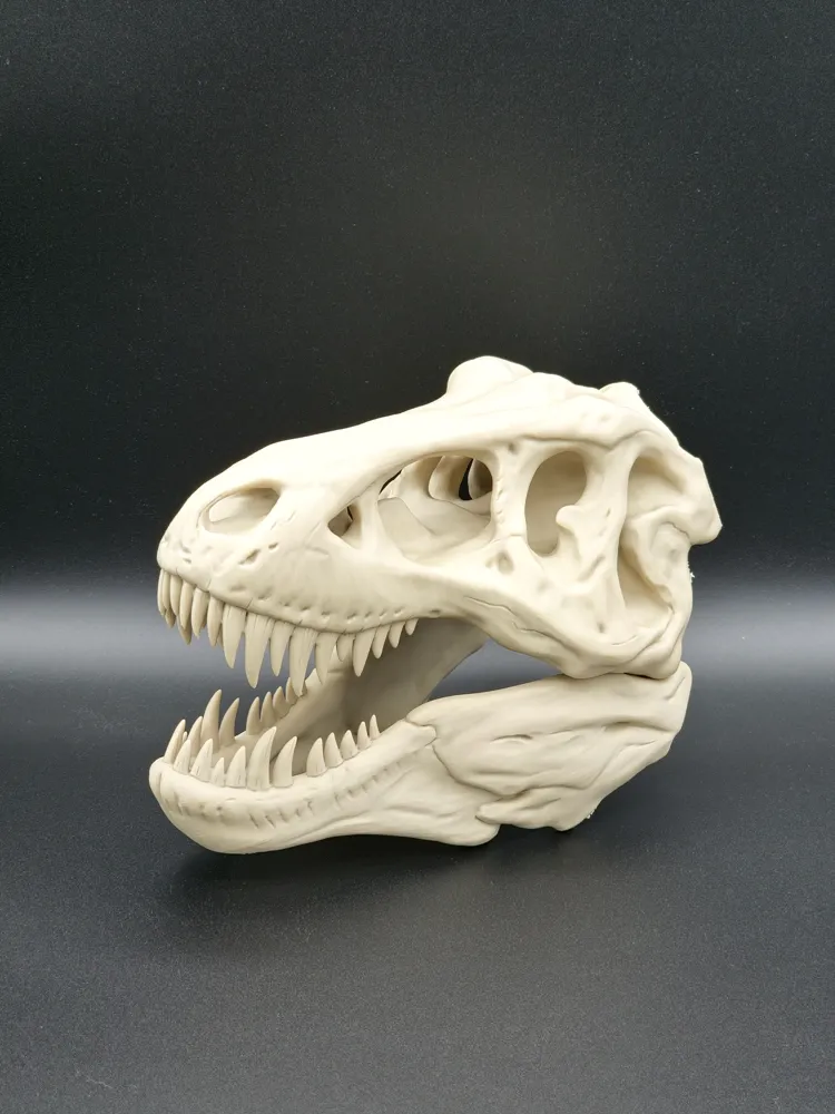 T-Rex Skull - Free 3D Print Model - MakerWorld
