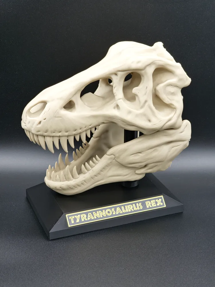 T-Rex Skull - Free 3D Print Model - MakerWorld