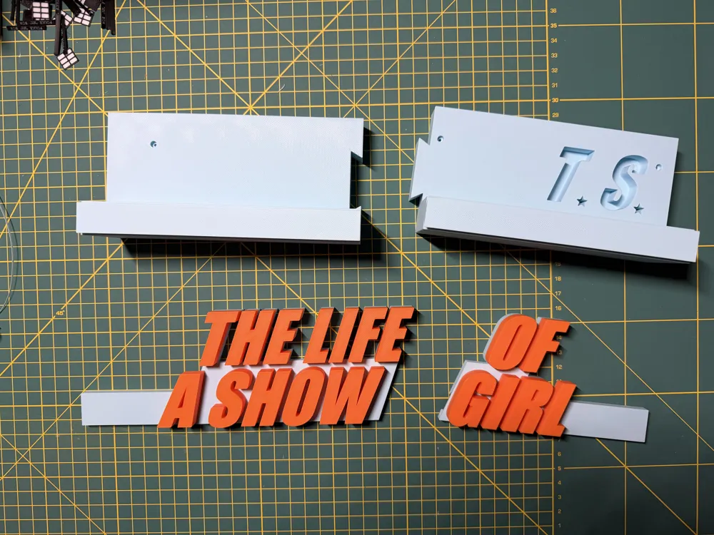 Vinyl Holder-The Life of a Show Girl(Taylor Swift) - Free 3D Print ...