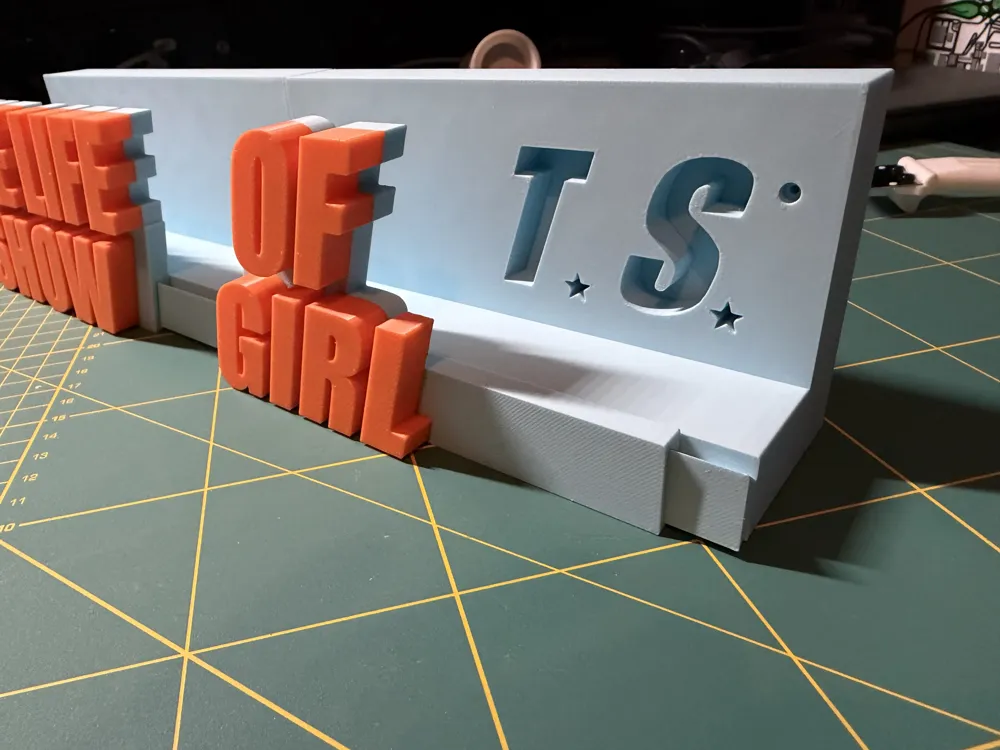 Vinyl Holder-The Life of a Show Girl(Taylor Swift) - Free 3D Print ...