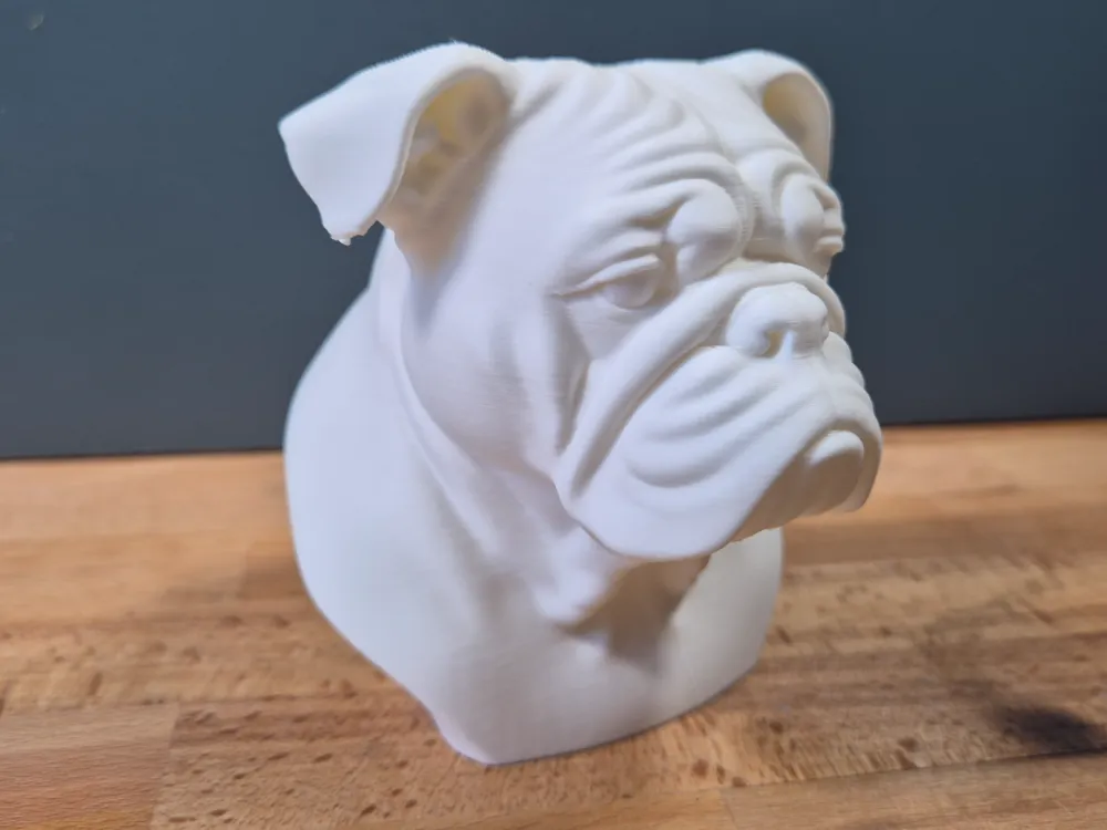 English Bulldog Bust by Mr.Jay MakerWorld: Download Free 3D Models