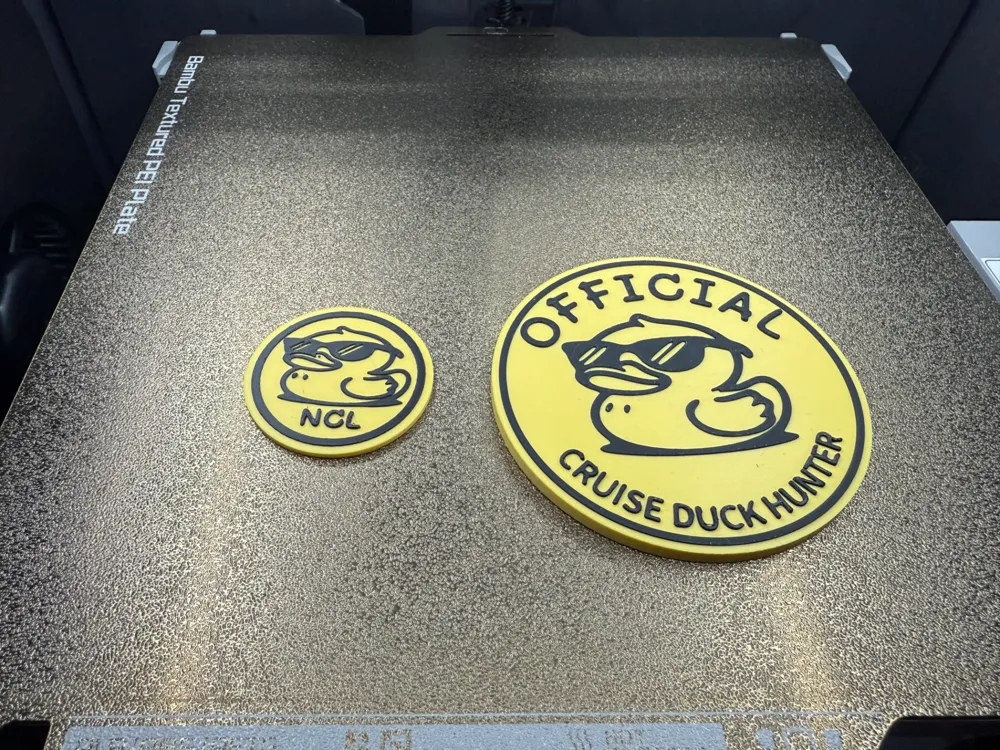 NCL CRUISE DUCK COIN FOR HIDING - Free 3D Print Model - MakerWorld