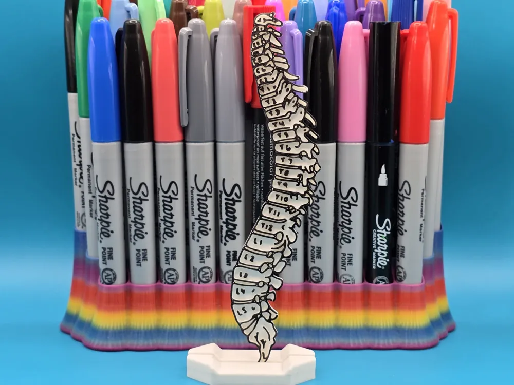 Spine Anatomy Coloring Craft Education - Free 3D Print Model - MakerWorld