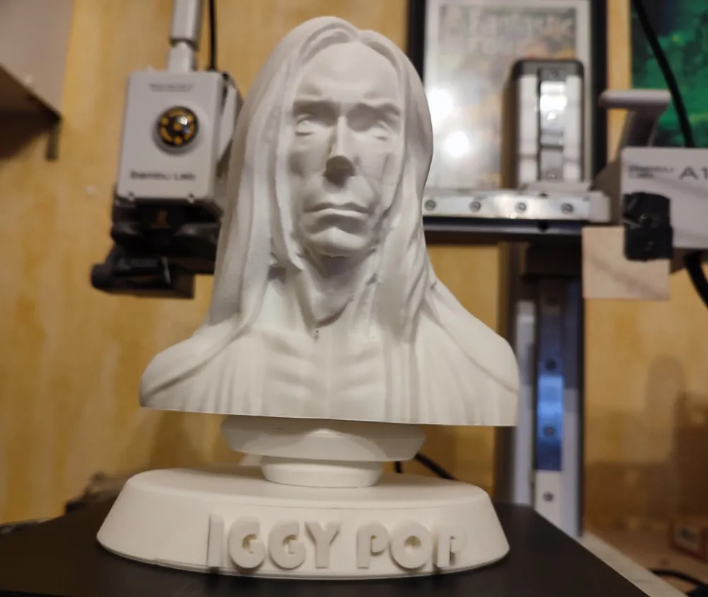Iggy Pop Bust by Classic 2.5 - MakerWorld