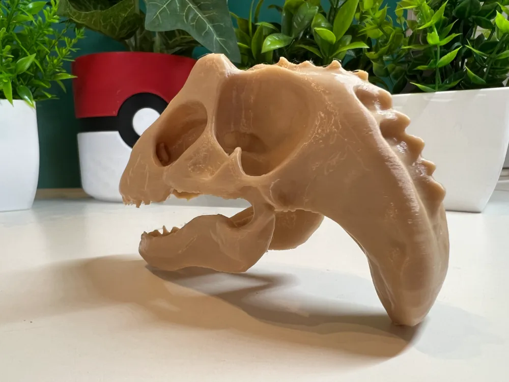 T-Rex Skull by 3D-Print-World MakerWorld: Download Free 3D Models