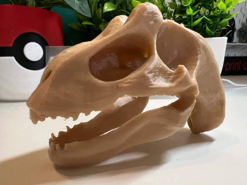 T-Rex Skull by 3D-Print-World MakerWorld: Download Free 3D Models