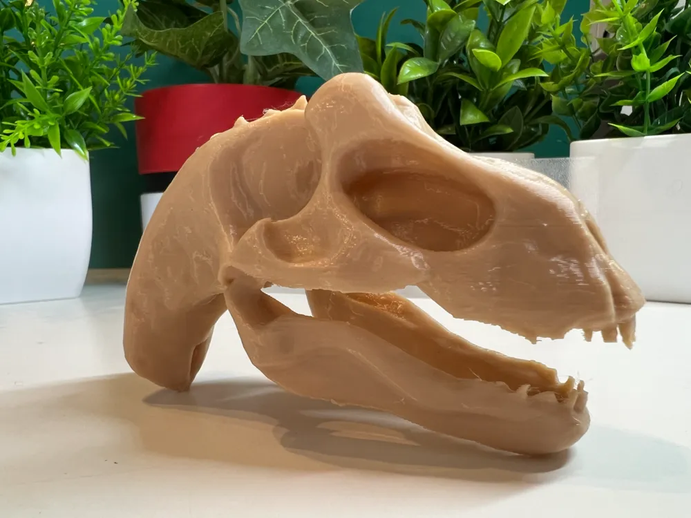 T-Rex Skull by 3D-Print-World MakerWorld: Download Free 3D Models