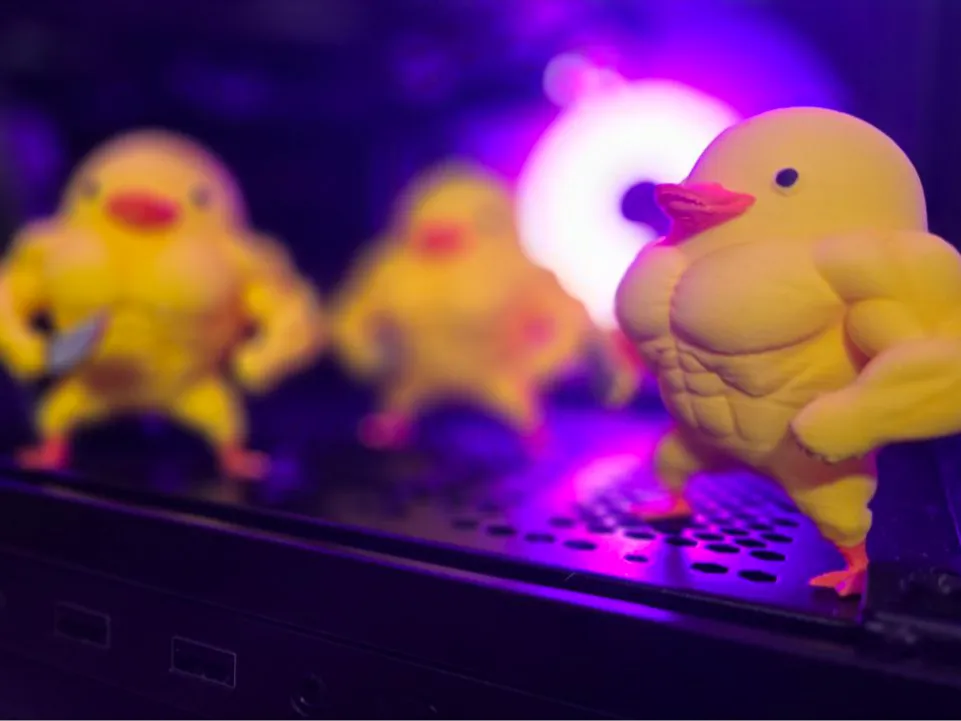 bodybuilder duck - Free 3D Print Model - MakerWorld