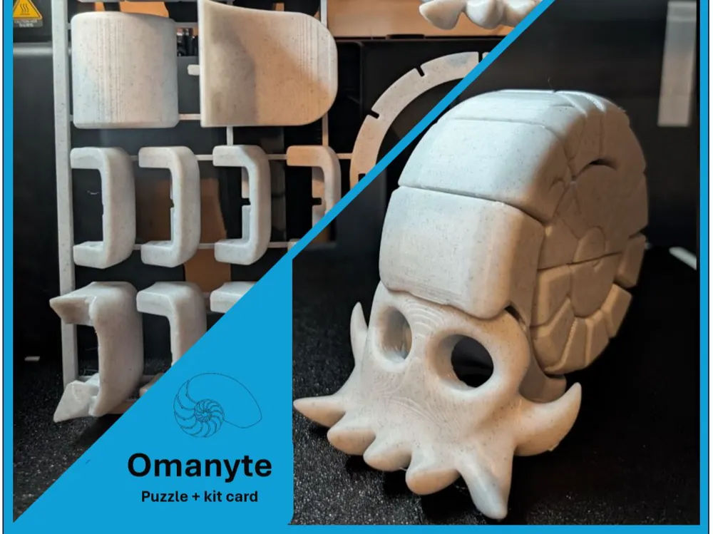 Omanyte Fossil Puzzle [+Kit Card] by Bruddz MakerWorld: Download Free ...
