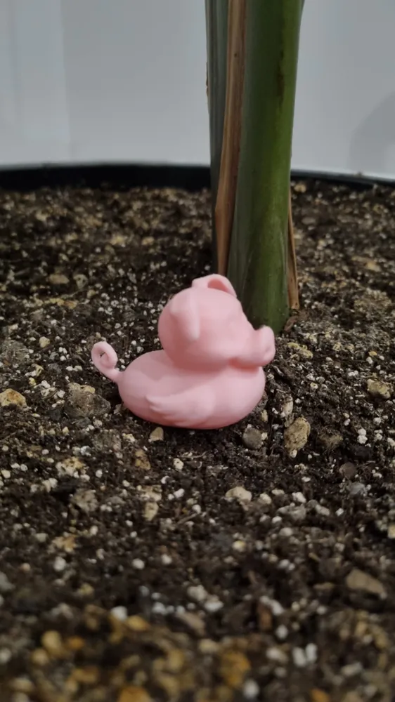 Piggy duck, Pig duck - Free 3D Print Model - MakerWorld