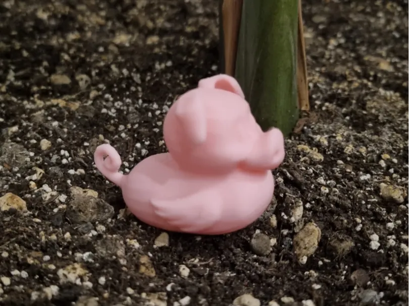 Piggy duck, Pig duck - Free 3D Print Model - MakerWorld