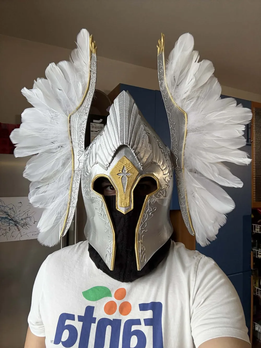 Gondor Fountain Guard Helmet - Lotr -REAL FEATHERS - Free 3D Print ...