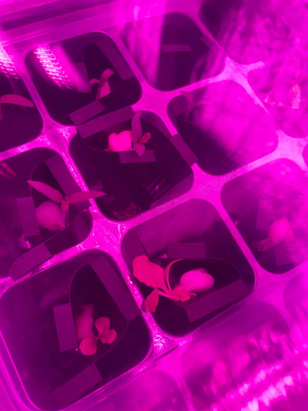 Universal Net Pot for One Gram of Filament V1 by Matthew Nydokus ...