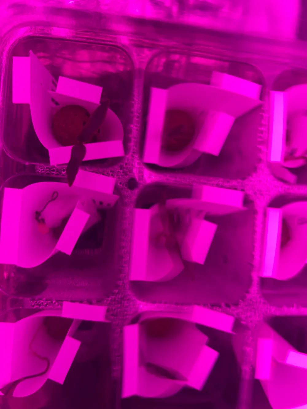 Universal Net Pot for One Gram of Filament V1 by Matthew Nydokus ...