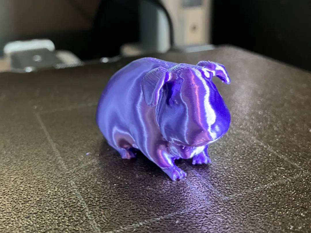 Miniature Guinea Pig: Cute, Fast Print, Detailed by The Napoleon ...