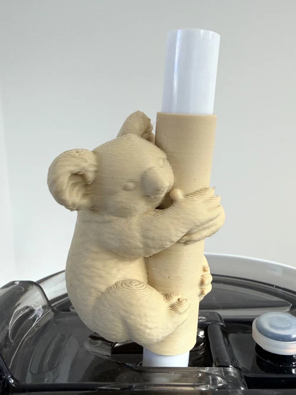 Koala Straw Topper Buddy - Free 3D Print Model - MakerWorld