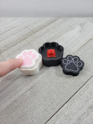 Paw Shaped Keyboard Fidget Clicker (Mechanical) - Free 3D Print Model ...